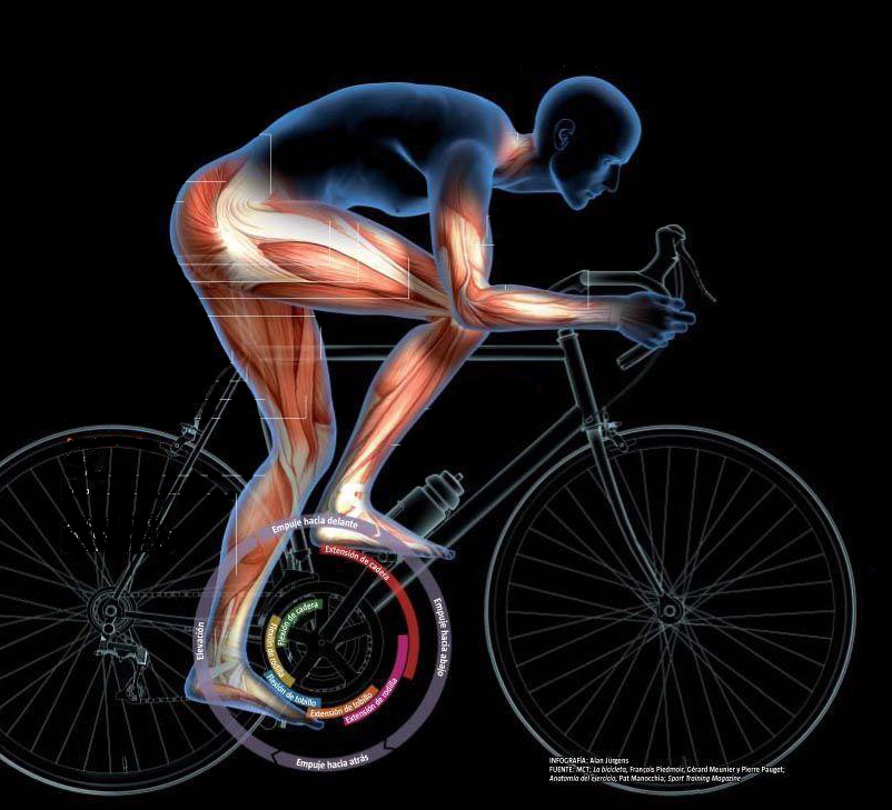 Biomecanica Deportiva